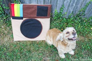 Make It Yourself Instagram Dog Bed Sewing Tutorial