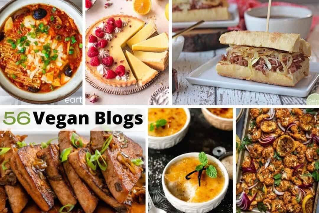 56 Vegan Blogs You Should Visit | Diana Rambles