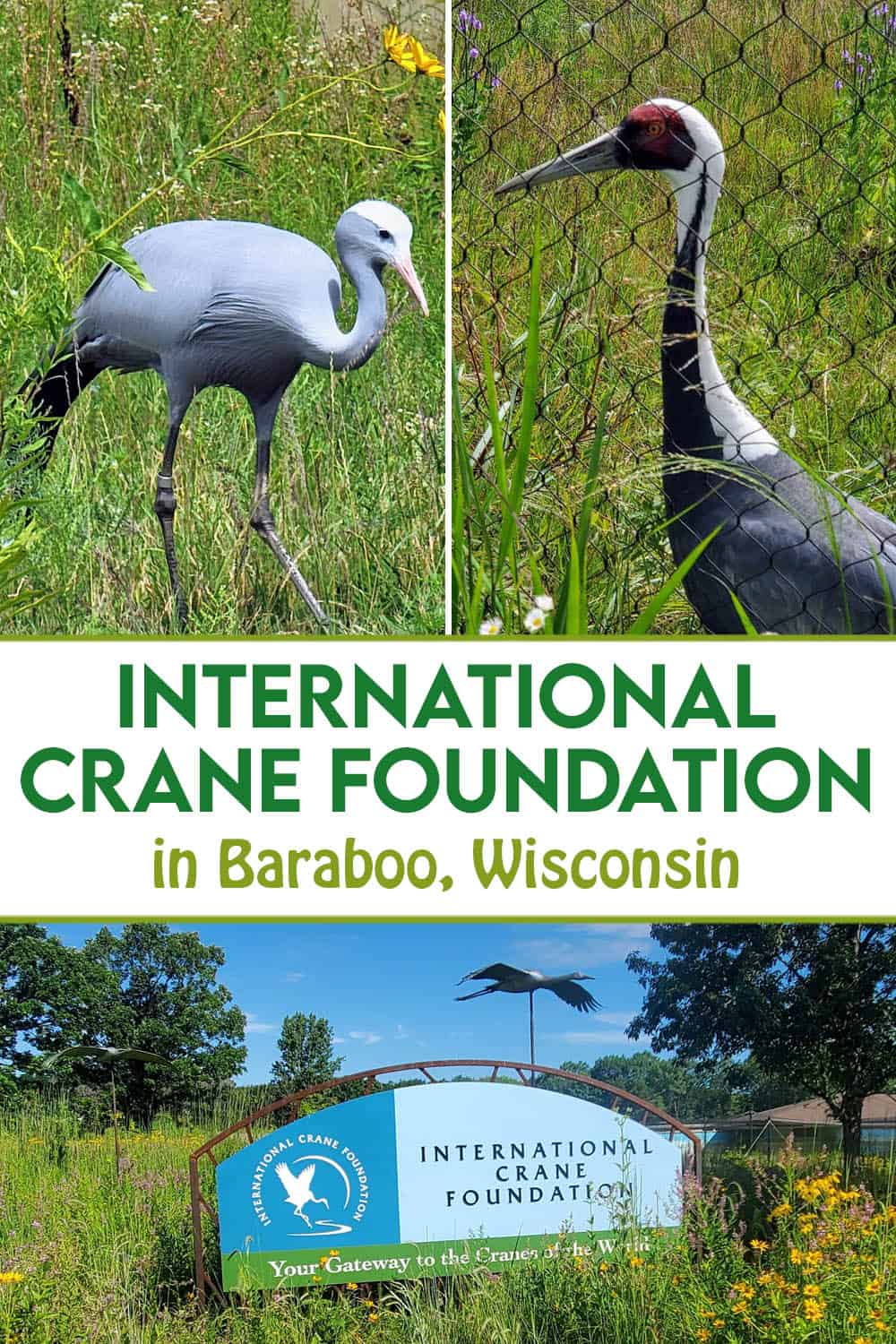 Visit the International Crane Foundation | Diana Rambles