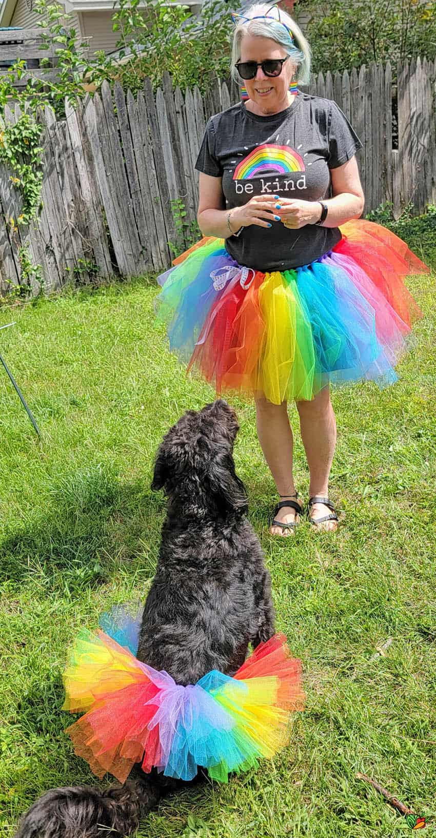 DIY Dog Tutu Tutorial