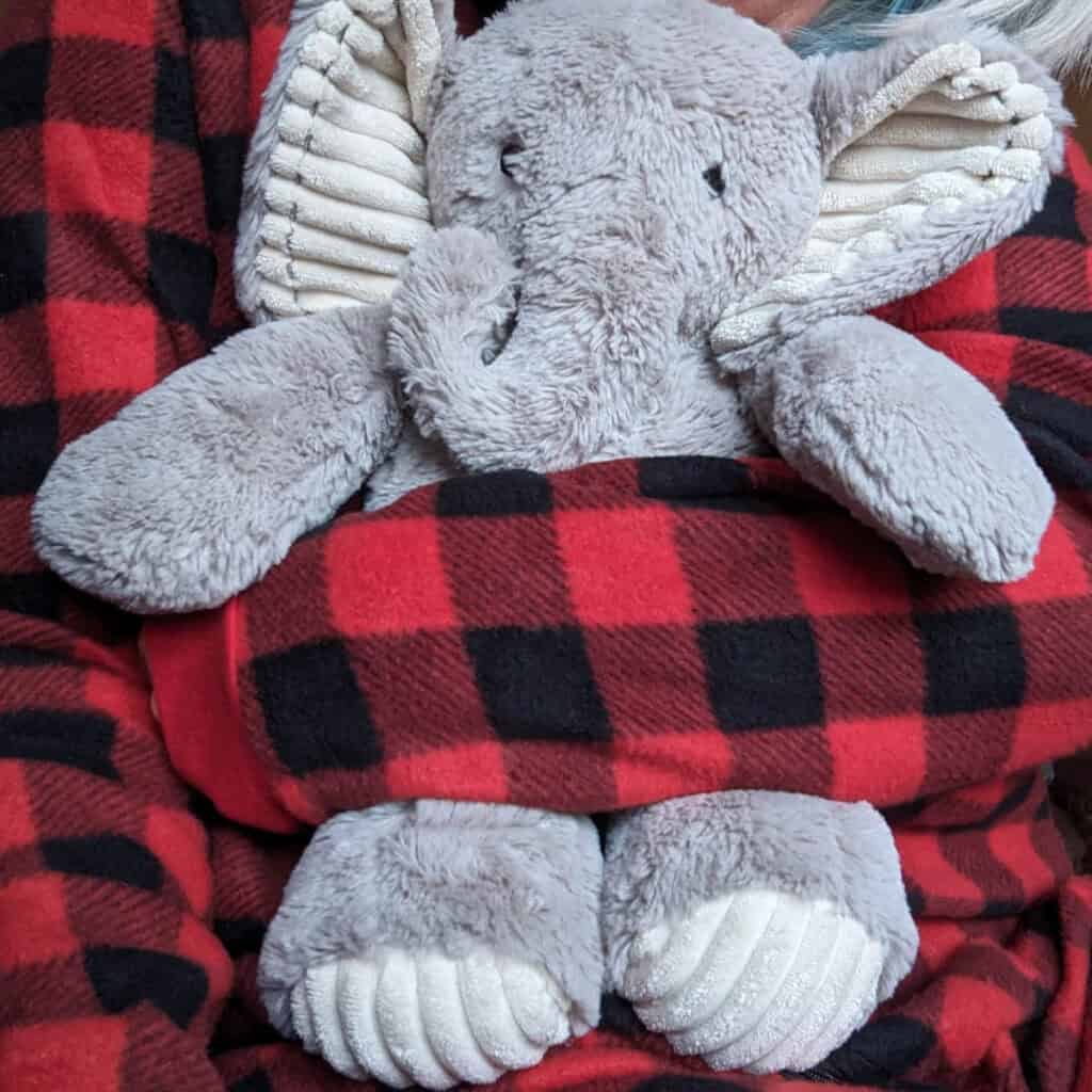 DIY Heated Stuffed Animal
