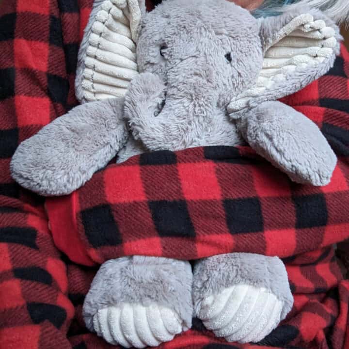 DIY Heated Stuffed Animal