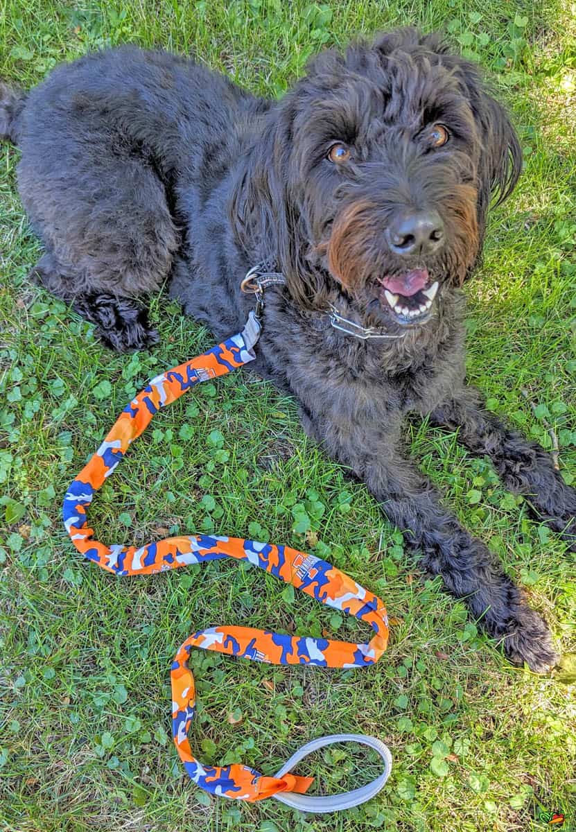 DIY Dog Leash Cover Sewing Tutorial