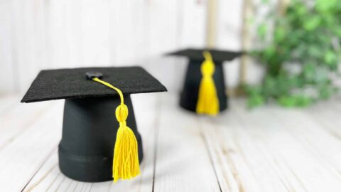 20 DIY Graduation Ideas | Diana Rambles